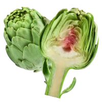 Hình ảnh hoa Atisô PNG - Tải về hình PNG hoa Atisô miễn phí