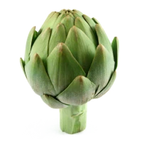 Hình ảnh hoa Atisô PNG - Tải về hình PNG hoa Atisô miễn phí