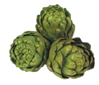 Hình ảnh hoa Atisô PNG - Tải về hình PNG hoa Atisô miễn phí